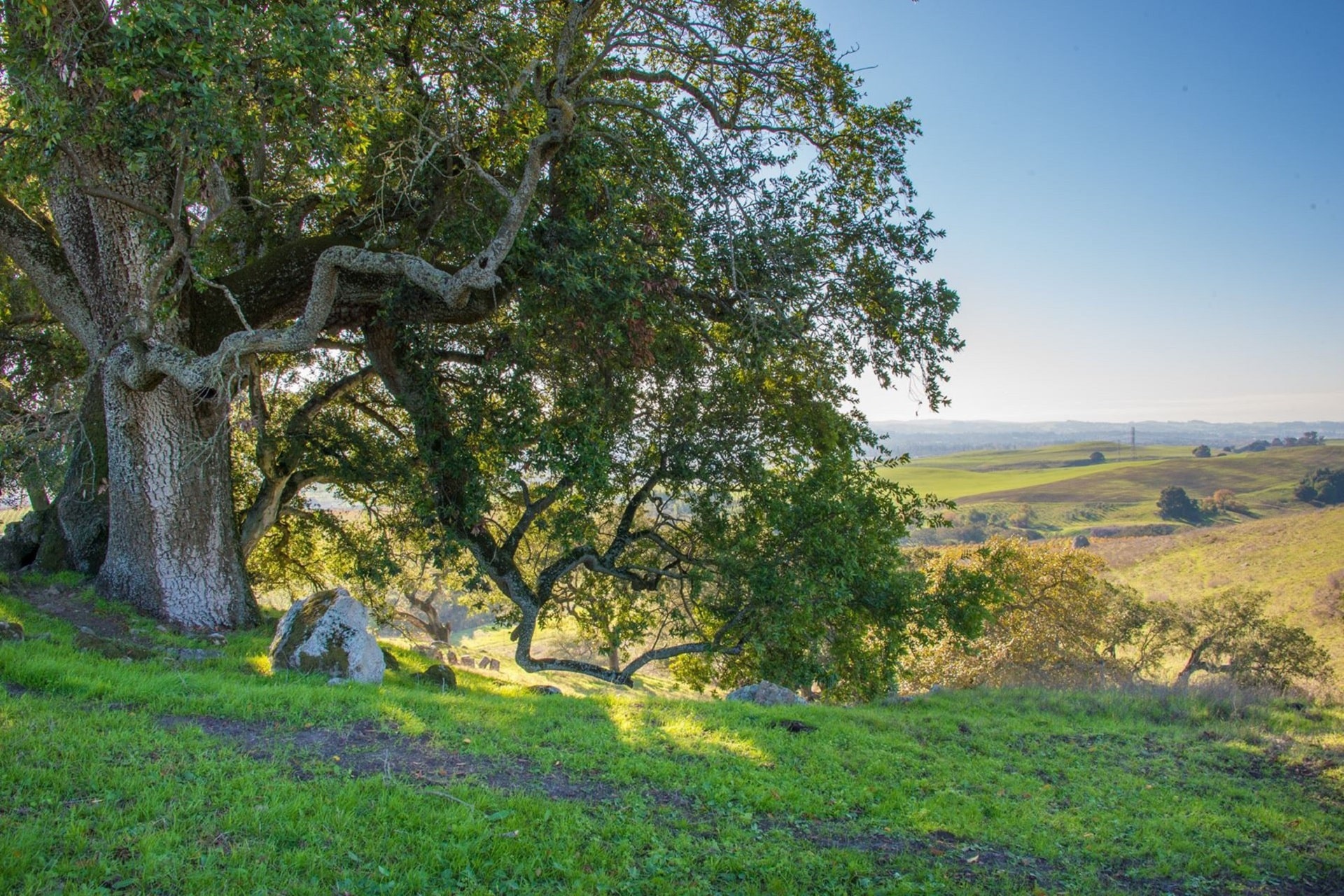 Manor Lane Petaluma Country Estate | Premier Homes & Country Estates