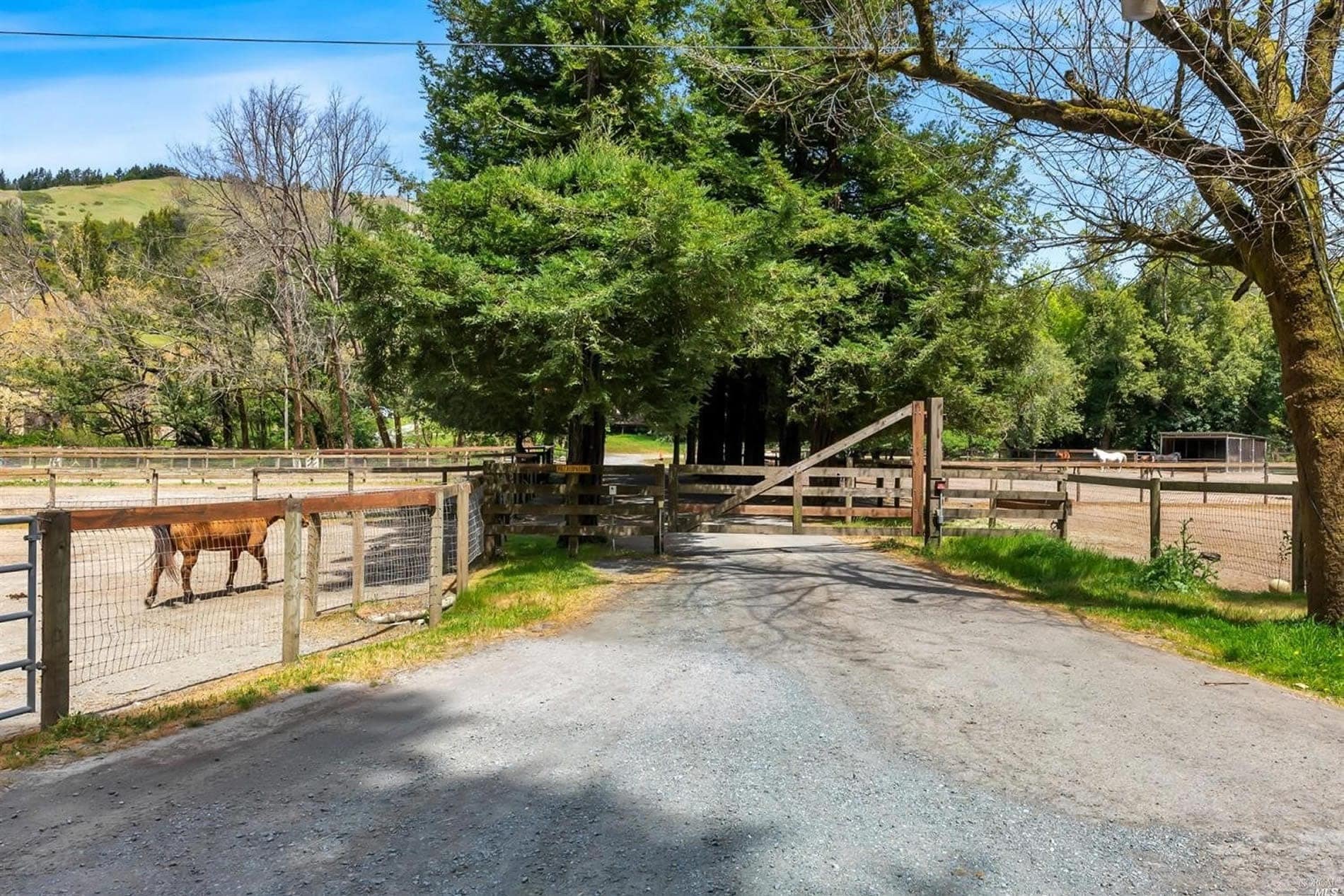 What Makes Us Your Horse Property Specialists? | Premier Homes ...